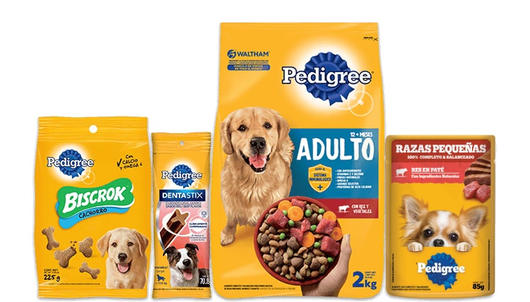 Alimento para perro - PEDIGREE® México